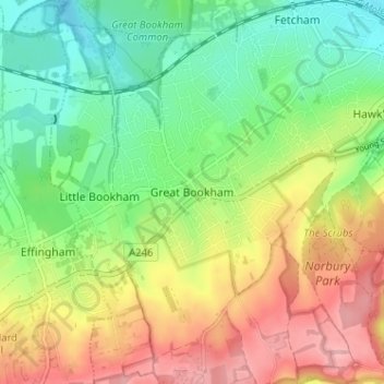 Mapa topográfico Great Bookham, altitud, relieve