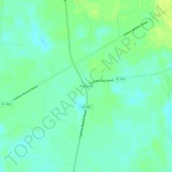 Mapa topográfico Pineland, altitud, relieve