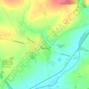 Mapa topográfico Ferns, altitud, relieve