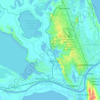 Mapa topográfico Tampico, altitud, relieve